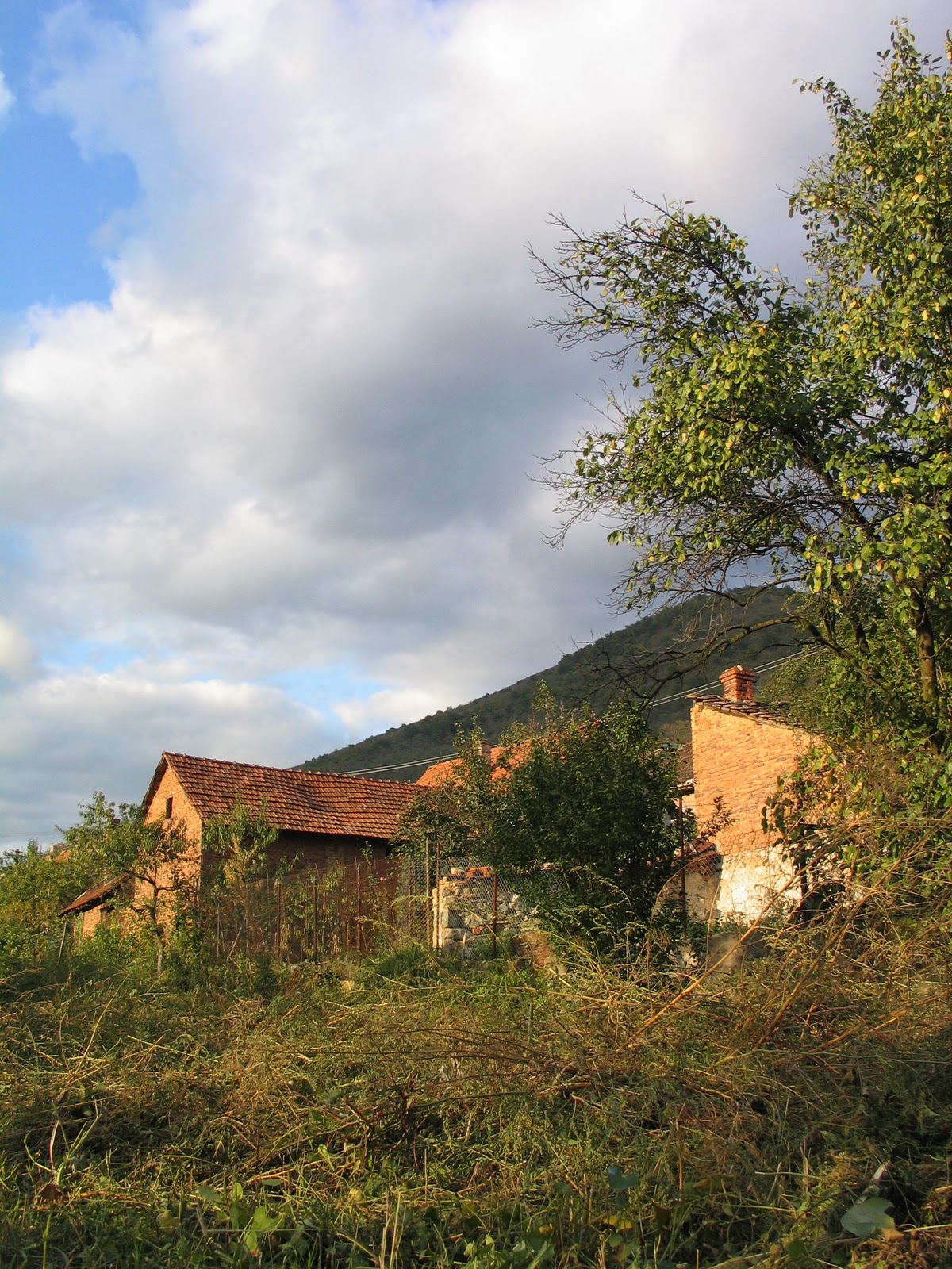 toplet: casele din toplet