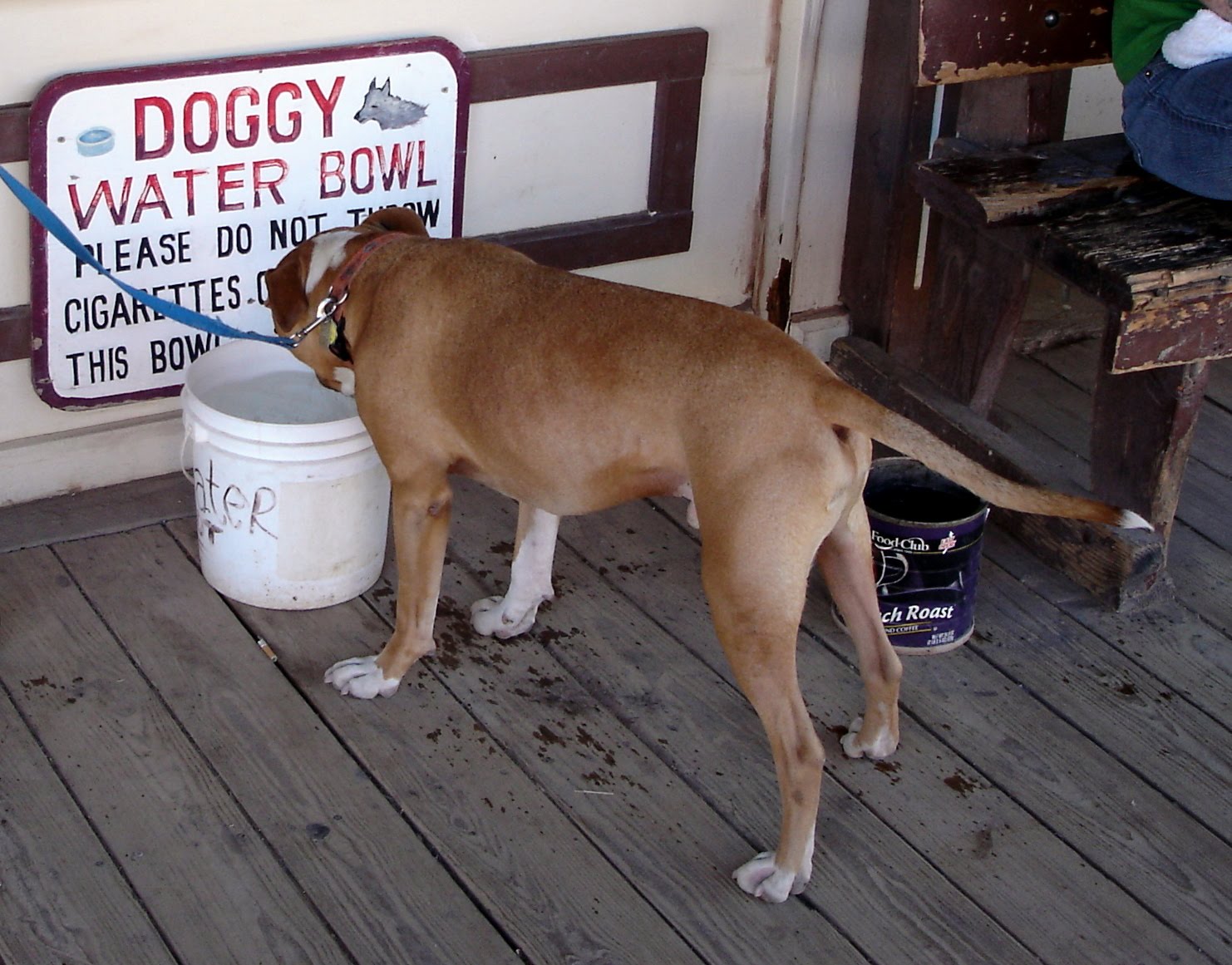The Haley Hiatus: Tombstone and Mt. Lemmon