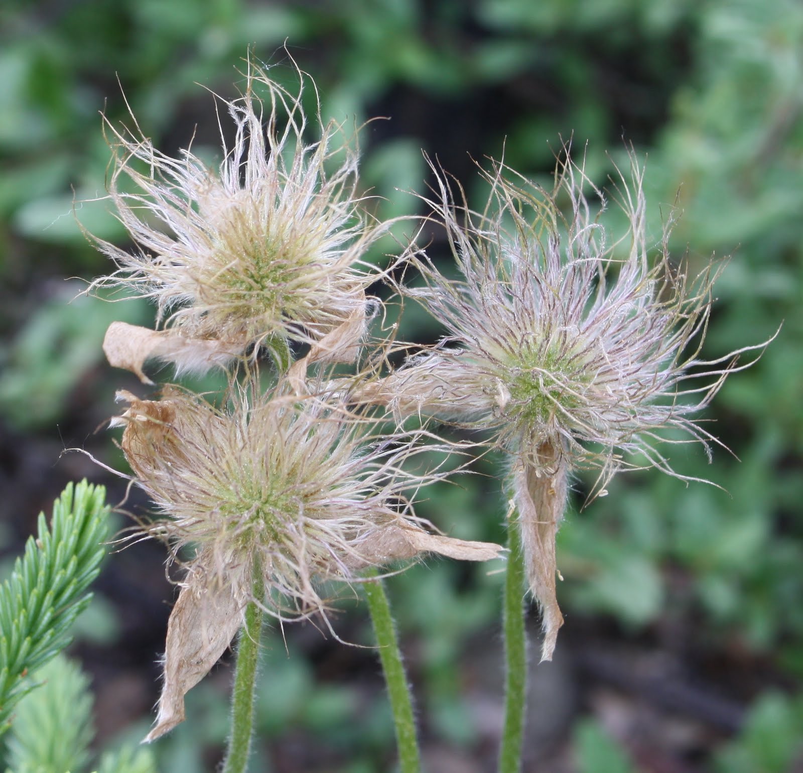 The Haley Hiatus: Whitehorse, Yukon Territory