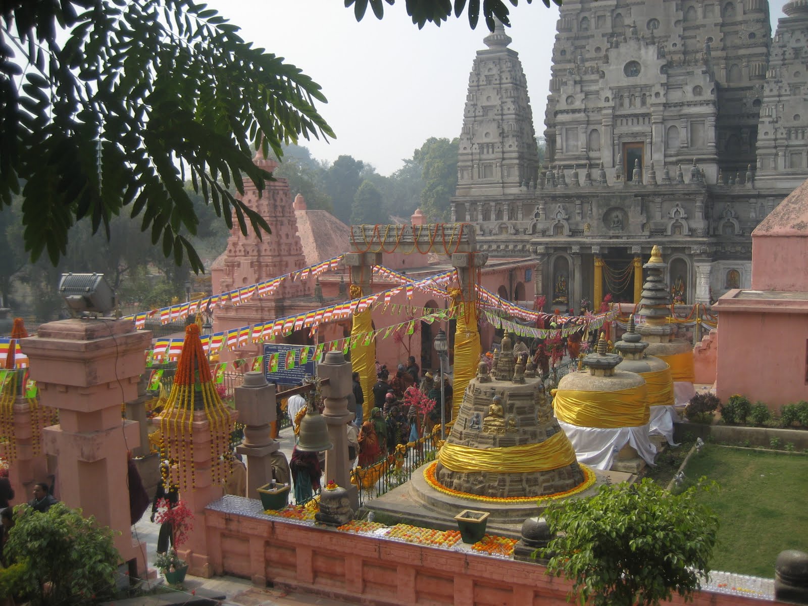 a little kyurii a day