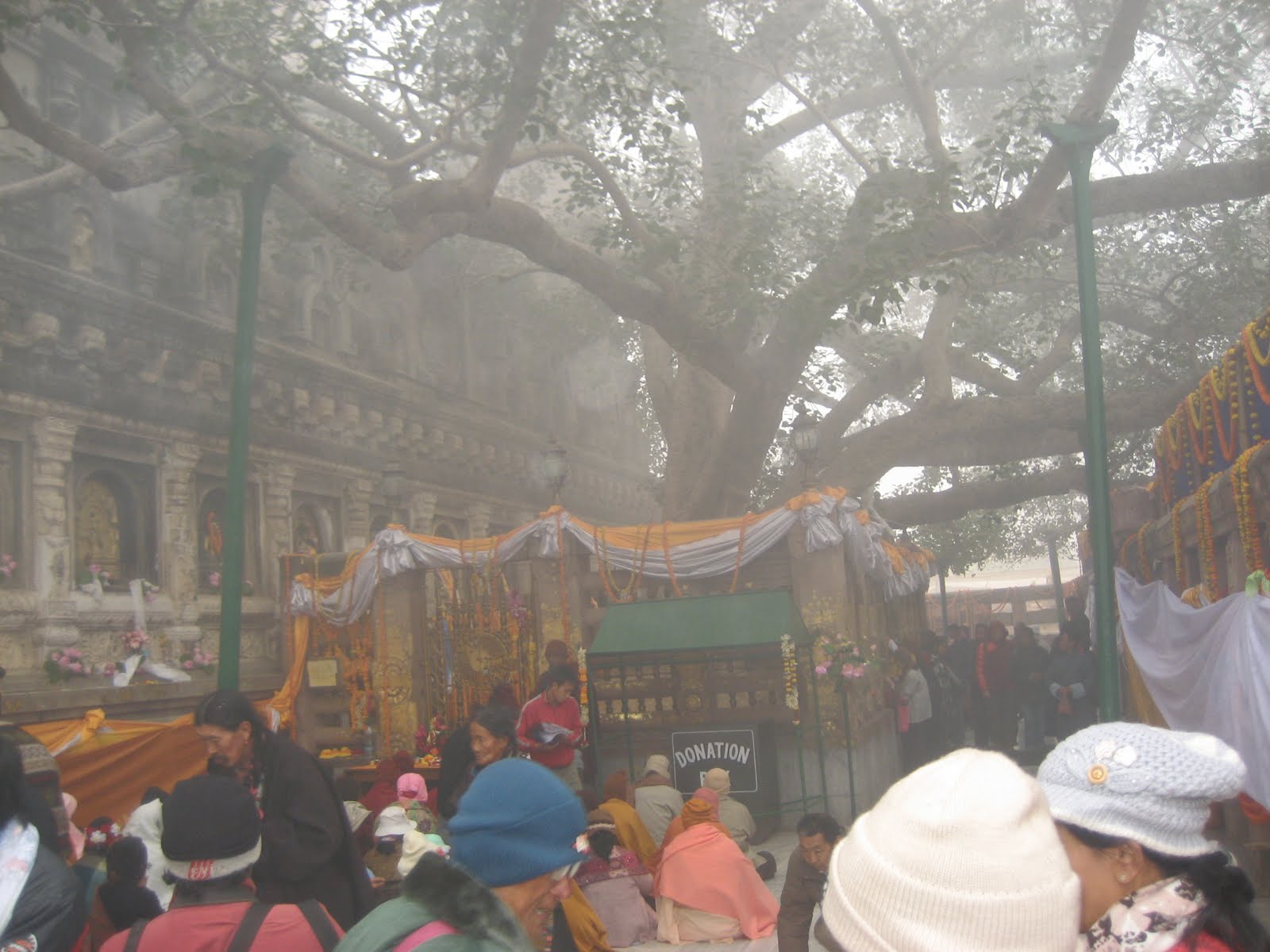 a little kyurii a day