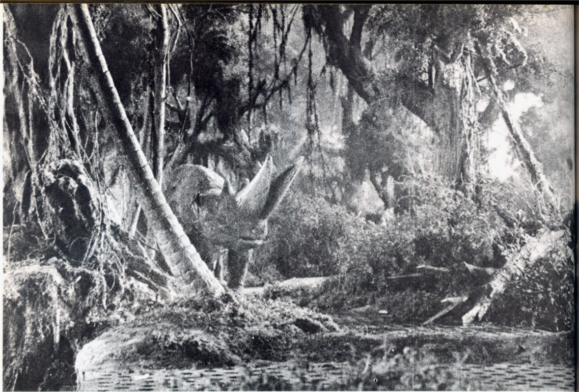 Matte Shot - a tribute to Golden Era special fx: RKO - the home of Kong ...