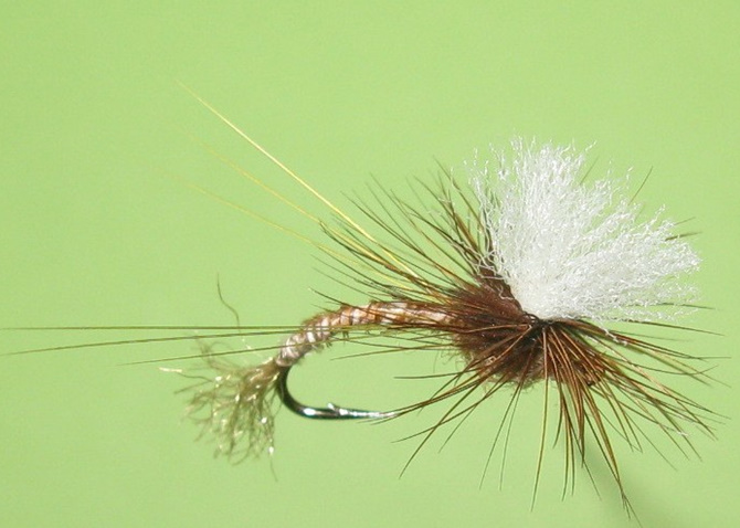 Bitter Root Chapter of Trout Unlimited: BRTU dry fly pattern - GT ...