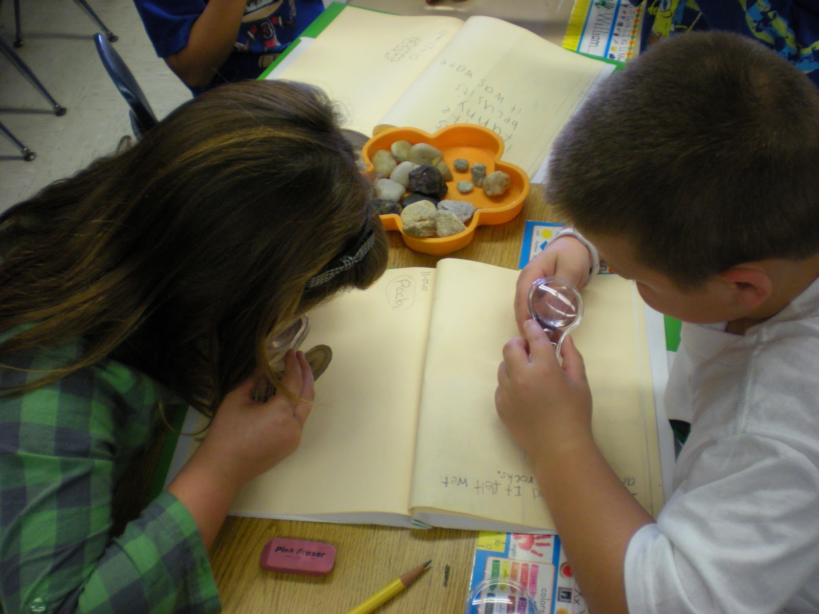 Mrs. Pevy's 1st Grade: Science Activity