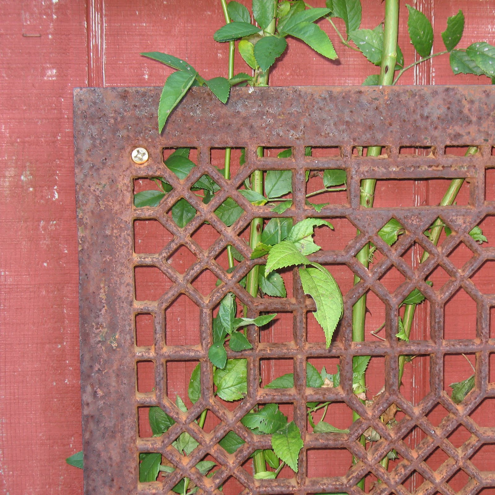 Trinket's Vintage Treasures: I LOVE rusty stuff...