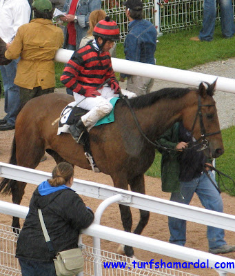 Turf Shamardal: Premio Expansión