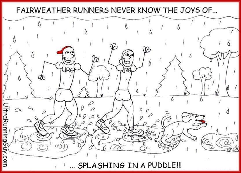 UltraRunningGuy.com: Fairweather Runners...