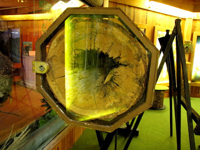 Strolling through Georgia (and sometimes Alabama): Stuckie the ...