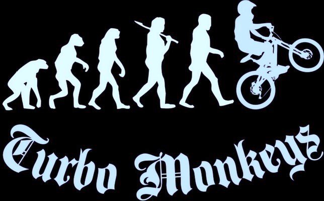 TURBO MONKEYS
