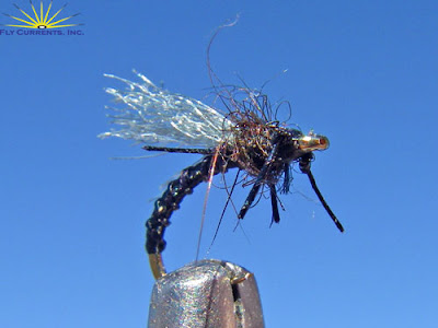 Fly Currents Fishing Report and News: New Fly Patterns