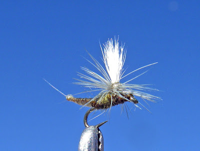 Fly Currents Fishing Report and News: New Fly Patterns