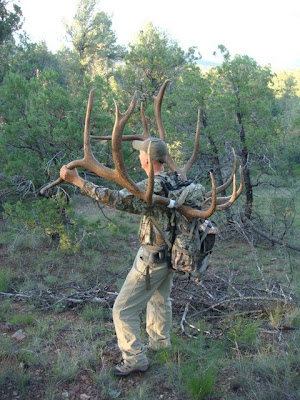 Jay Scott Outdoors: Giant Elk Rack