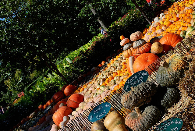 Dallas Arboretum Fall Festival Pictures - Clumsy Crafter