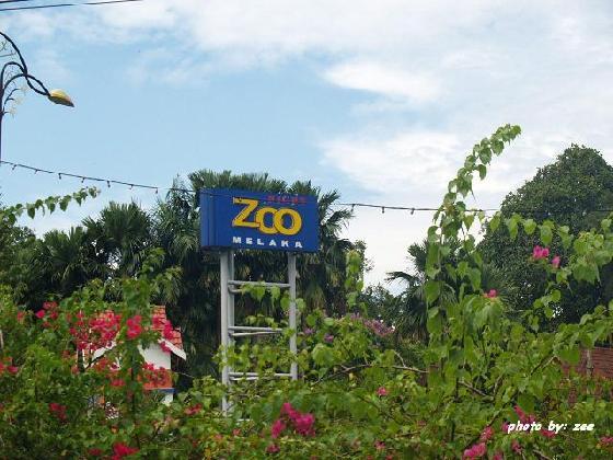 MALAYSIA NO 1 TRAVEL GUIDE: Malacca - Zoo Melaka