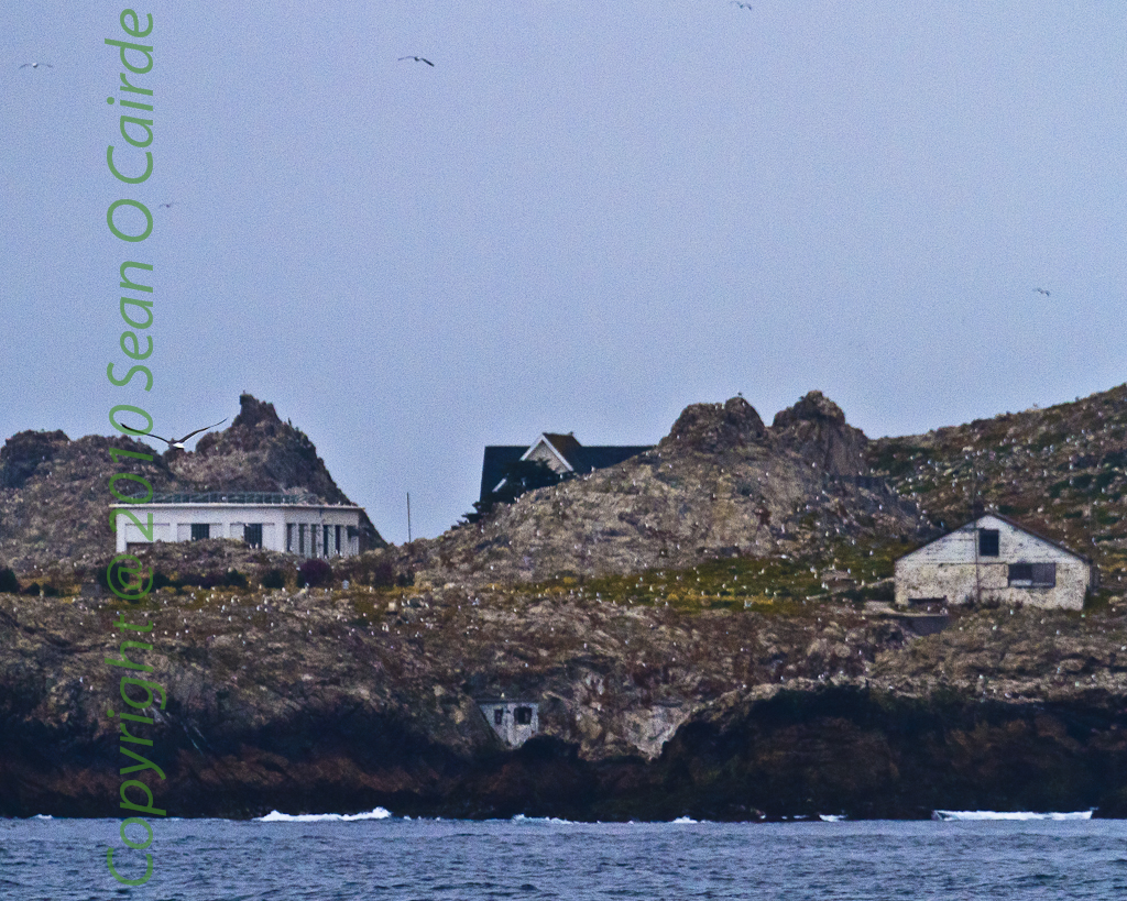 California's Majestic Lighthouse's: Farallon Island Lighthouse