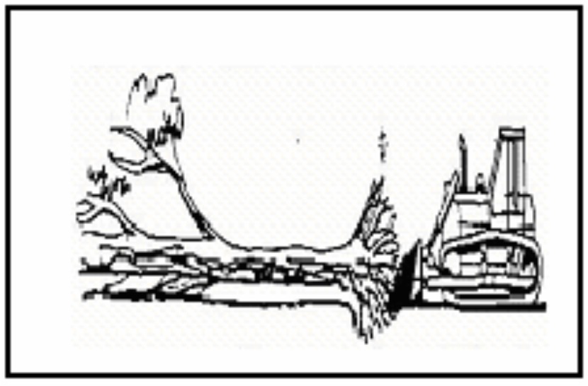 UNIVERSAL KNOWLEDGE: Land Clearing and Timber Cutting Techniques