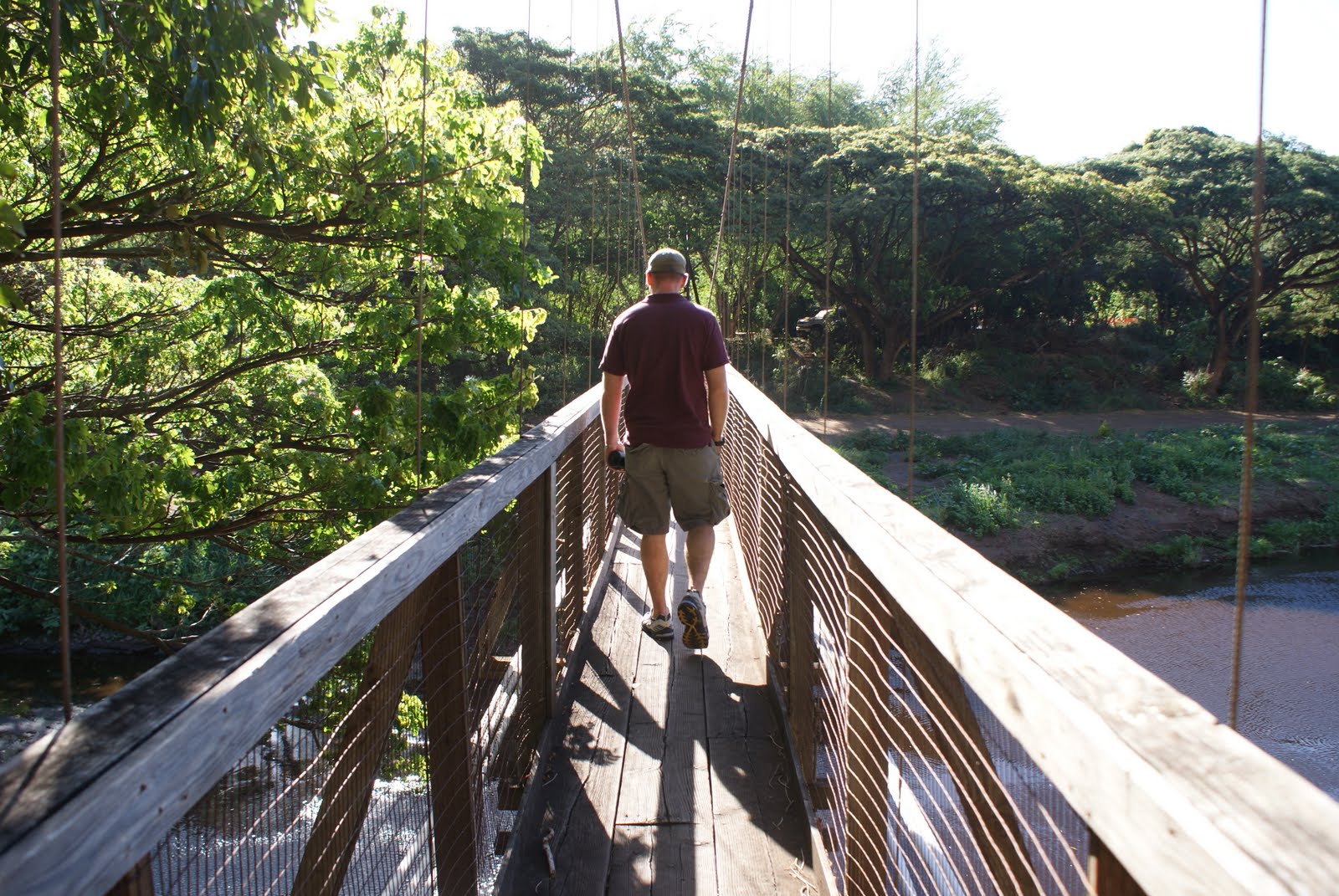 all because two people fell in love: Waimea Swinging Bridge in Kauai