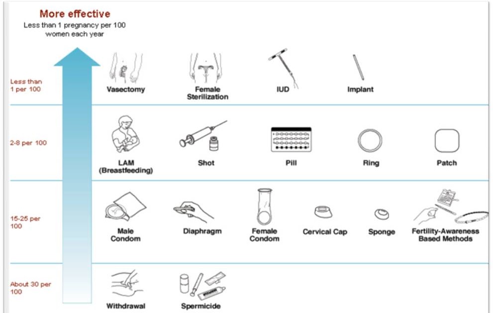 Teen Pregnancy: Prevention and the Internet: Analysis