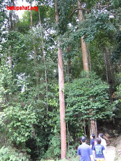 All about me....: Hutan Lipur Soga Perdana