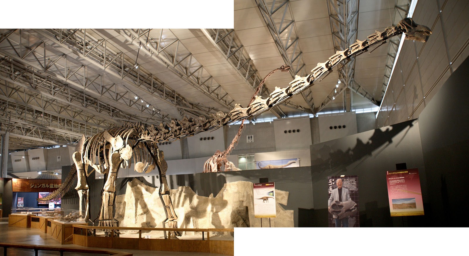 Sauropodomorph Lair: The forgotten Xinghesaurus