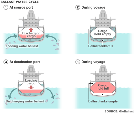 Jejak Langkah...: Ballast Water