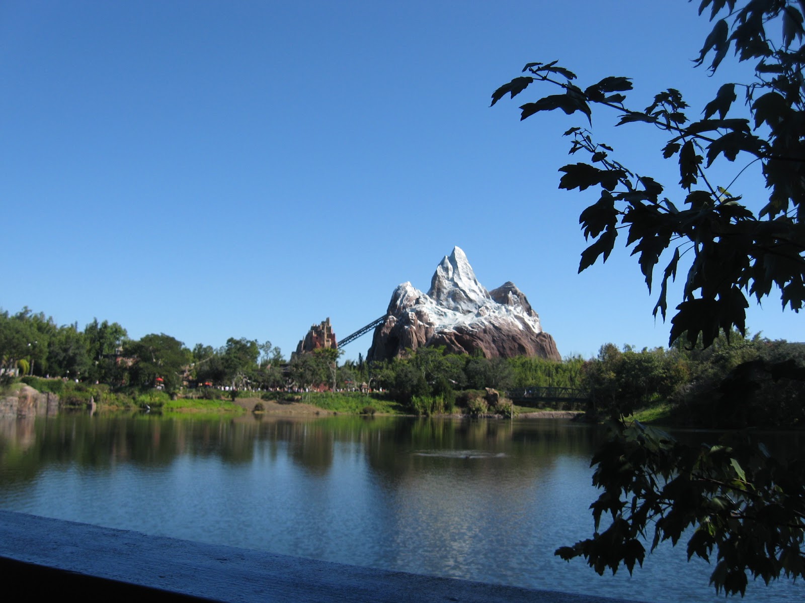 Mile After Mile: Animal Kingdom