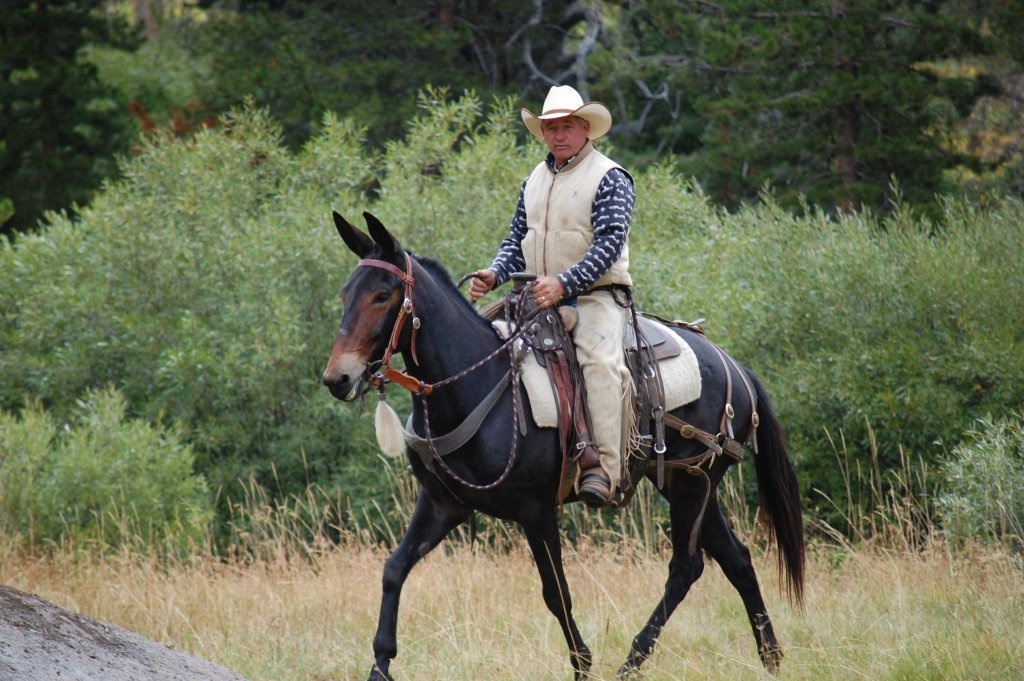 Buckaroo Leather Horse Tack, Use, Care and Maintenance: Buckaroo ...