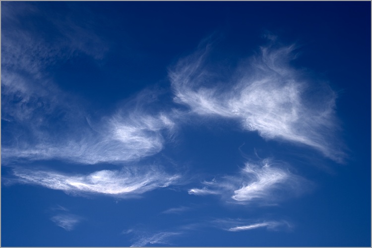 Bon sens et Déraison: VOS PREMIERES FOIS suite ...