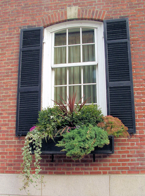 BOXWOOD TERRACE: Beacon Hill Decorates for Christmas