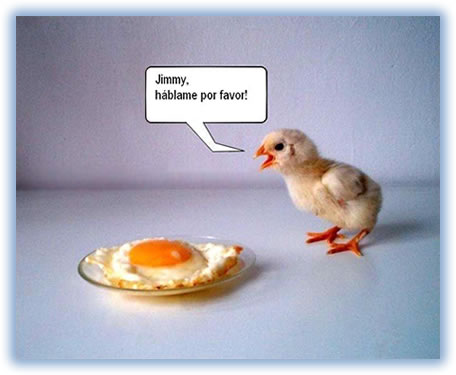 Pollitos graciosos - Imagui