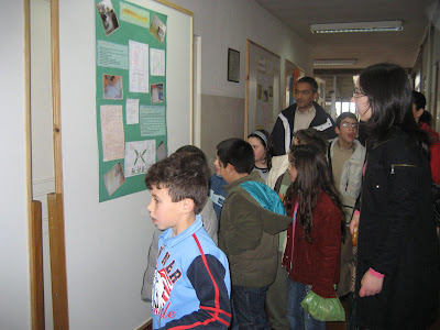 O PNEP nas escolas do 1º Ciclo - Prado