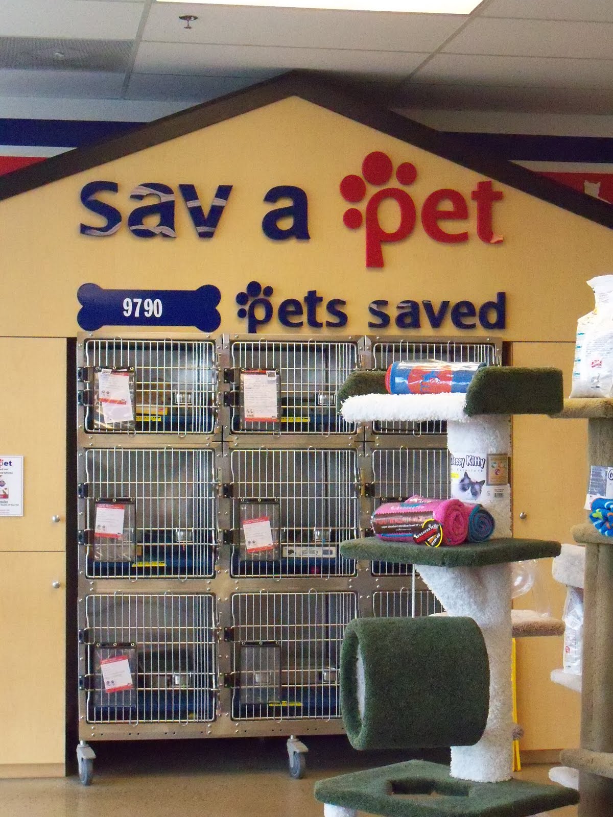 Dog Eared: Petsense Sunday