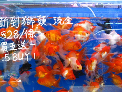 Boarding Pass – Emily Kleinman | Prêt à Voyager