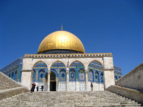 Boarding Pass – Emily Kleinman | Prêt à Voyager