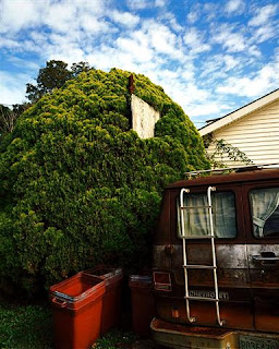 William Greiner @ PDNB Gallery – New Orleans Photo Alliance