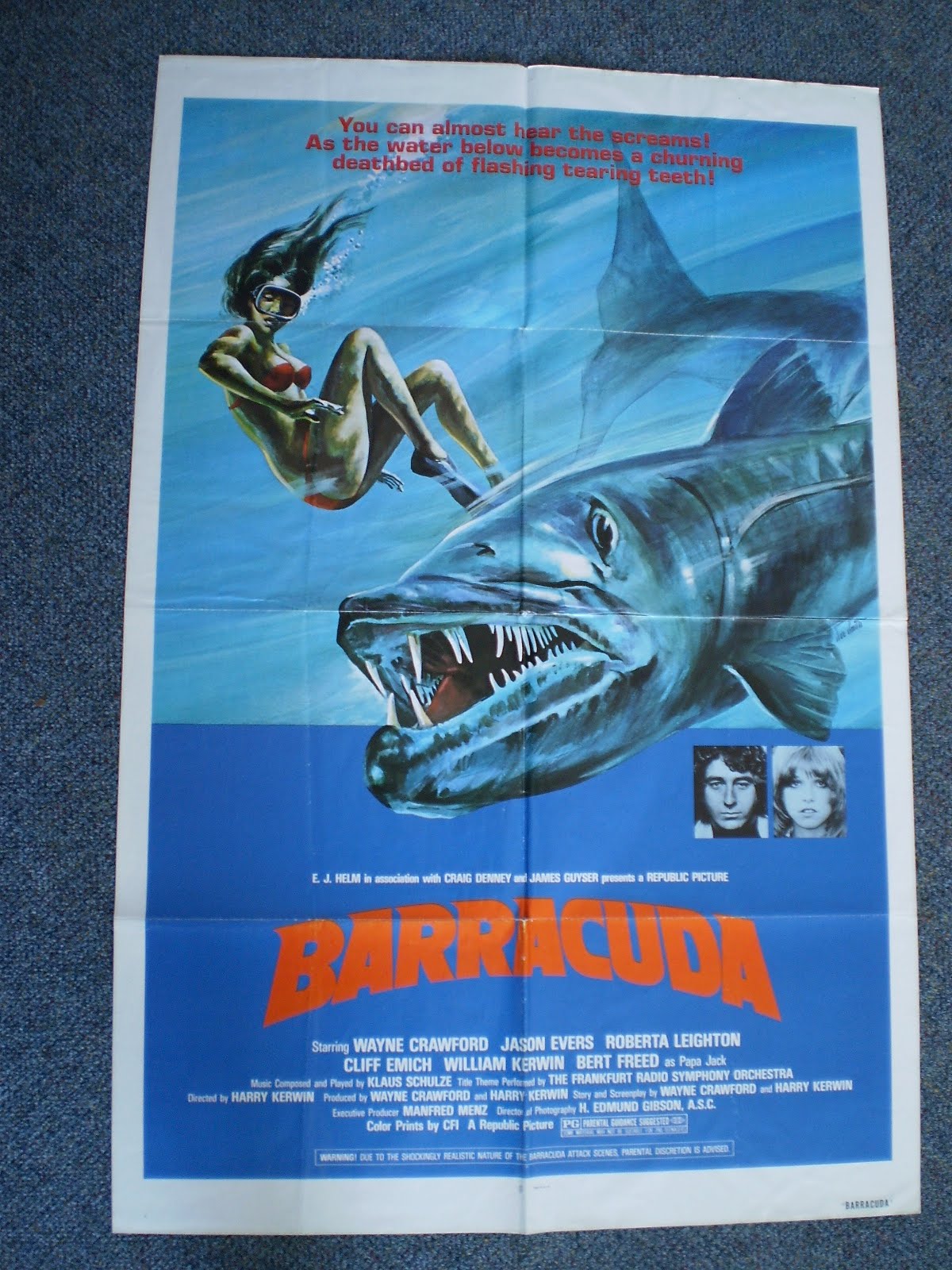 Trash Video-Blog: CLASSIC and CULT POSTERS FOR SALE!