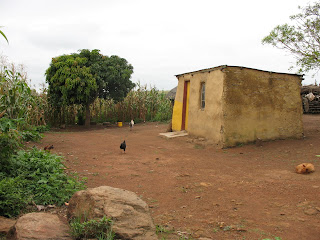 David in Swaziland: Swazi Houses