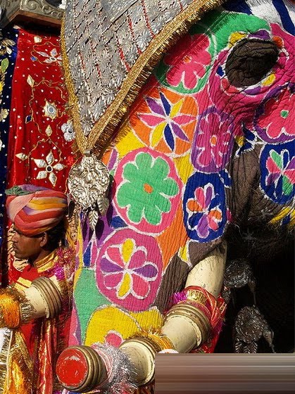 NETWORK 4 FUN: Indian Elephants Makeup for Beauty Contest