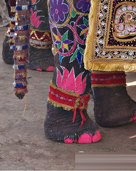 NETWORK 4 FUN: Indian Elephants Makeup for Beauty Contest