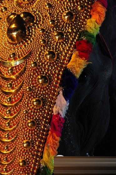 NETWORK 4 FUN: Indian Elephants Makeup for Beauty Contest