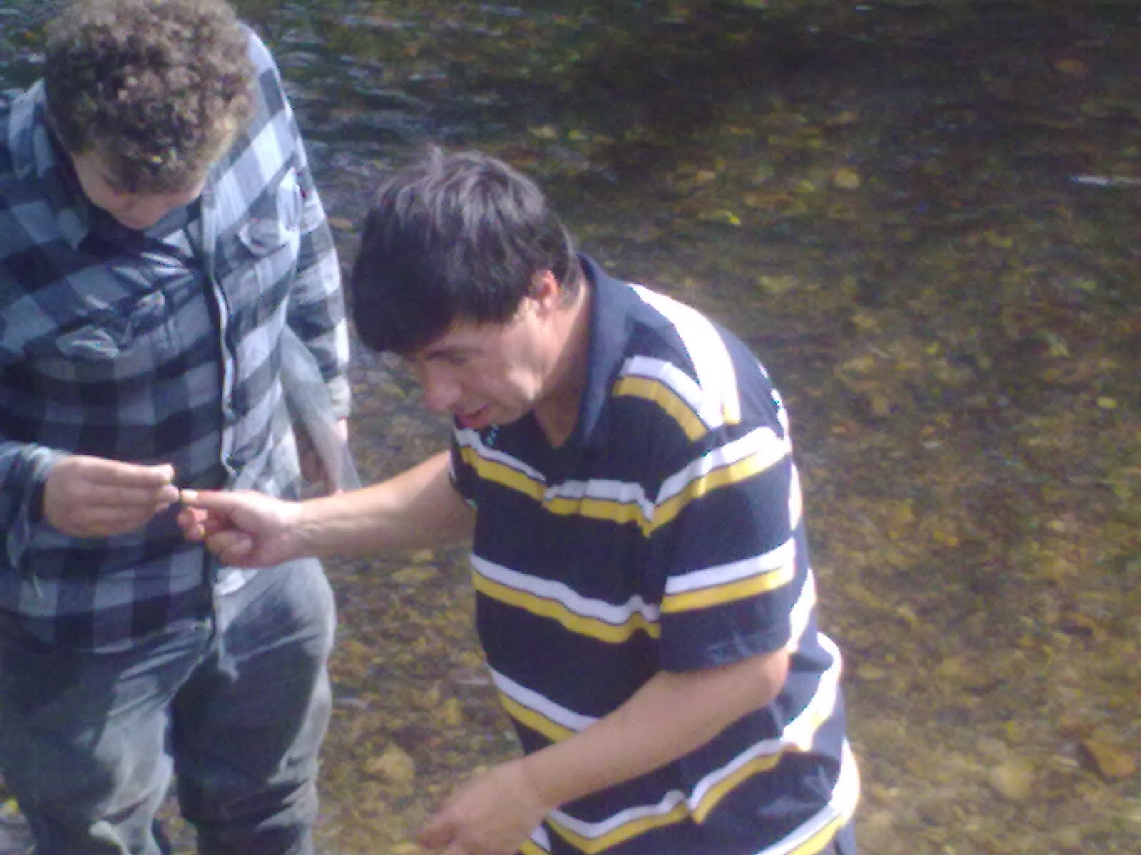 Caer Alyn Archaeological and Heritage Project Summer Dig 2010