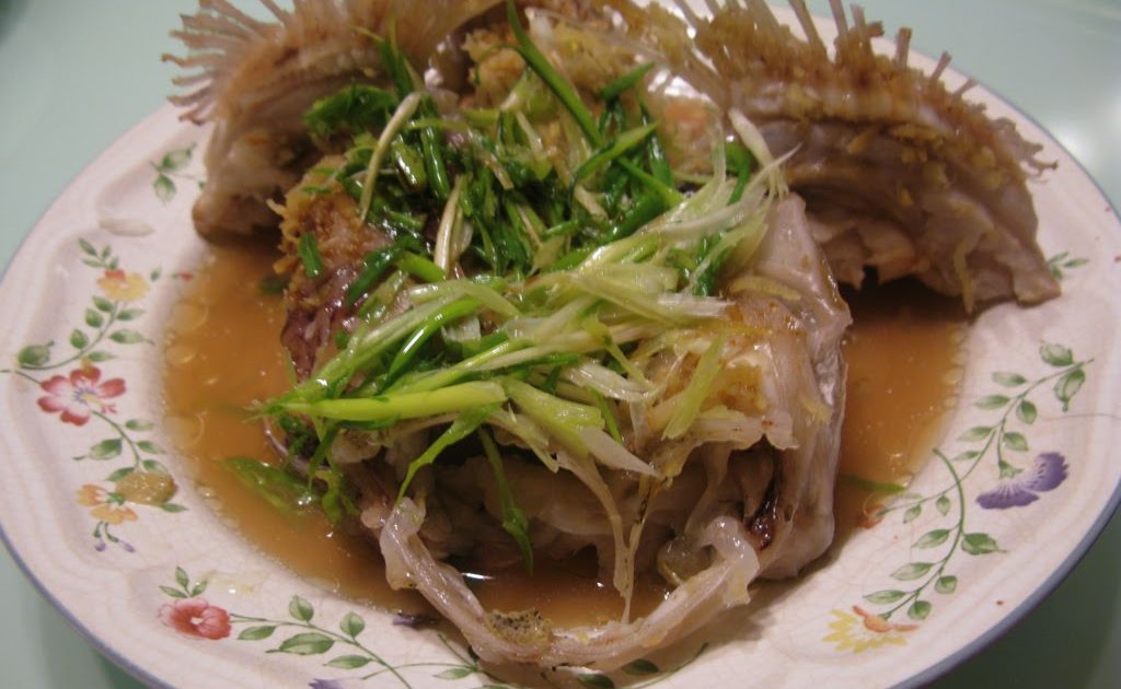 jungle life: stone Fish pictures and life info