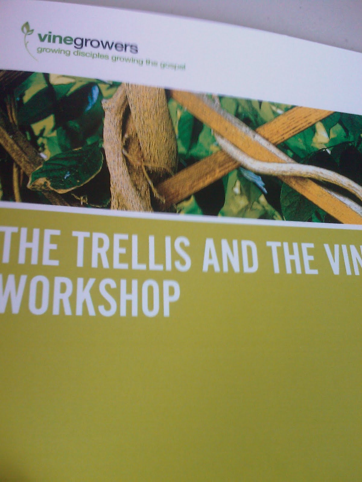 Trellis and the Vine - Canberra workshop ~ Ravings and Ranting