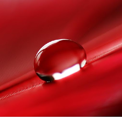 Nuclear Physics: Liquid drop model of the nucleus