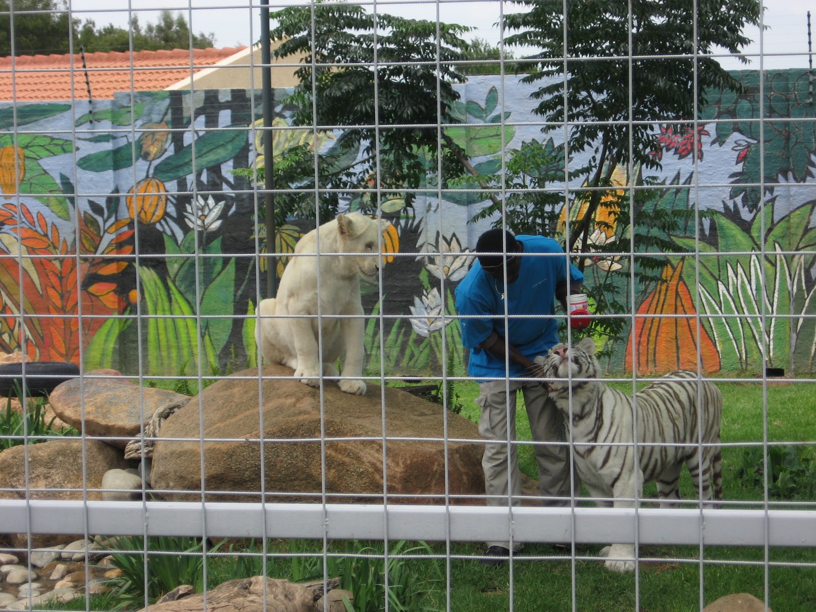 Plebs with Kids: Lory Park Zoo, Midrand (JHB)