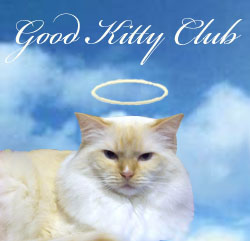 Rumblebum: The GOOD kitty club! - Inigo