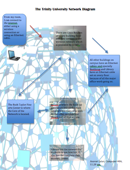 Asavari's Academic Blog - CS 1303: My Trinity Network Diagram