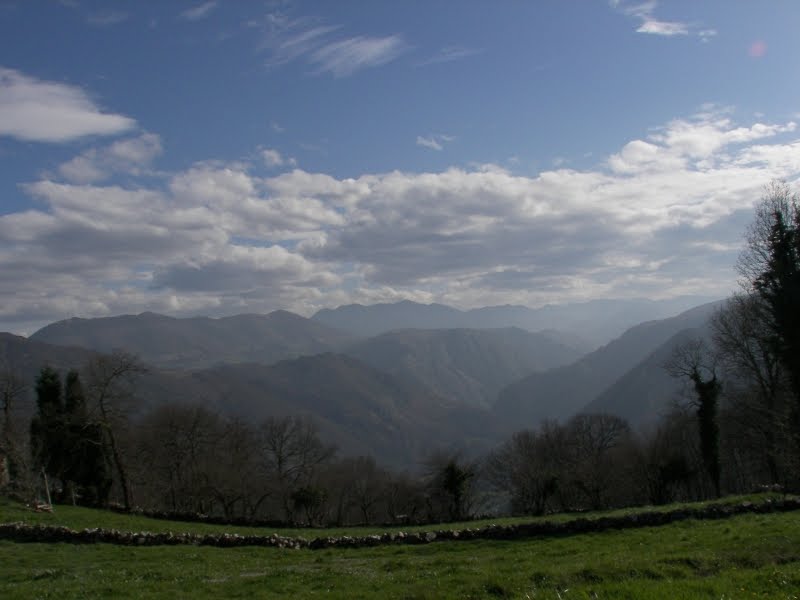 Caminando por Asturias: El Pevidal, Salas, Asturias