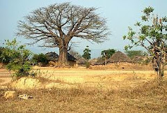 ONDJIRA SUL: Poesia de Namibiano Ferreira e Cultura Angolana.: PEDRAS ...