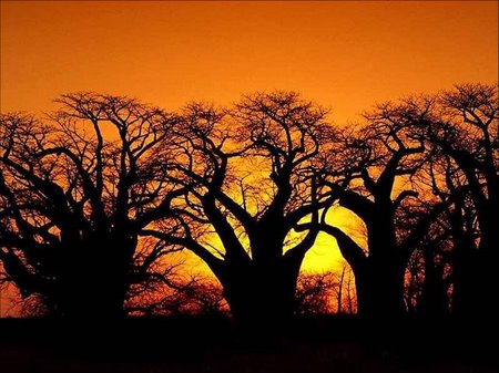 ONDJIRA SUL: Poesia de Namibiano Ferreira e Cultura Angolana.: O ...